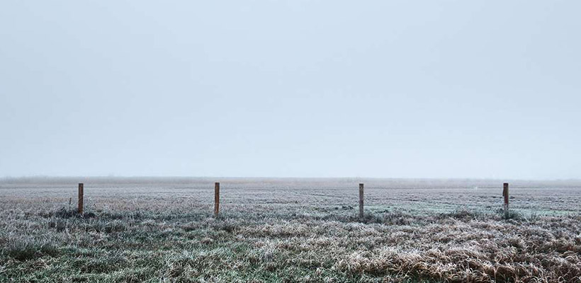 Heladas negras: cuáles son las consecuencias del fenómeno que puede ...