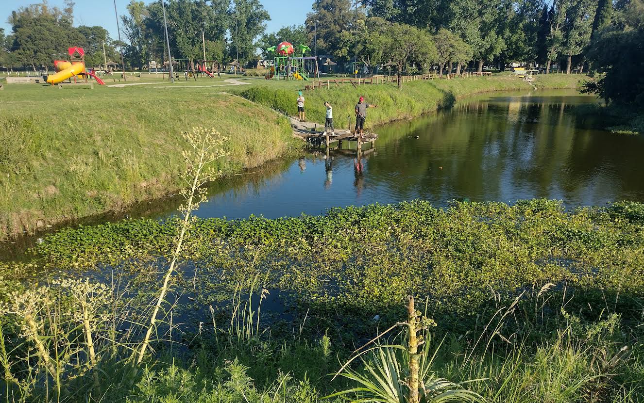 ¿Cuál es el estado del lago municipal?