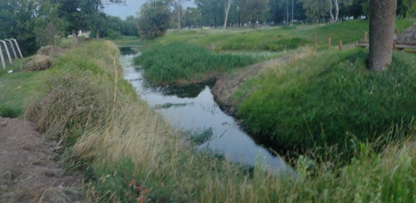 ¿Cómo sigue el estado del lago del Parque Municipal?